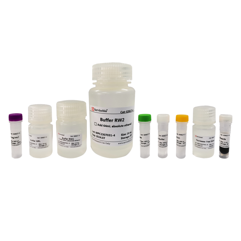 19 Bacterial Total Rna Magnetic Bead Based Extraction Kit 500